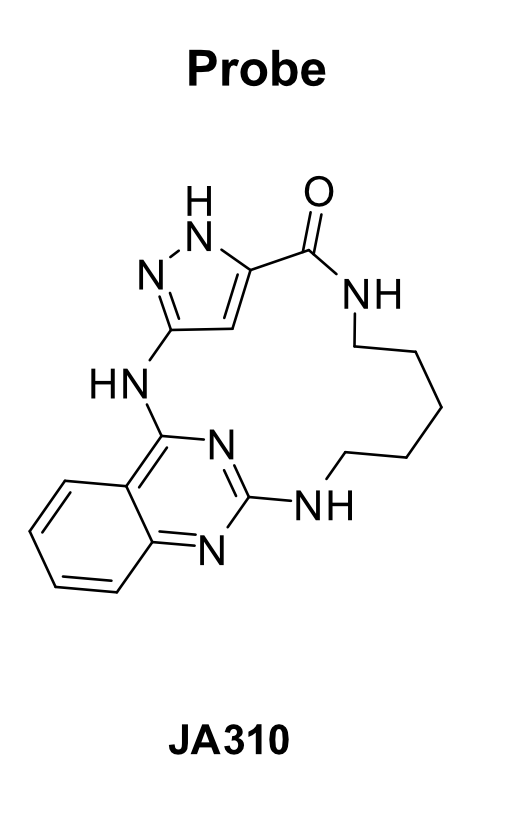 SGC Chemical Probes | Structural Genomics Consortium