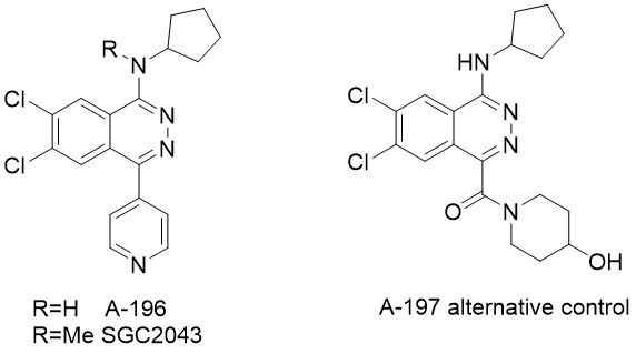 A-196 | Structural Genomics Consortium