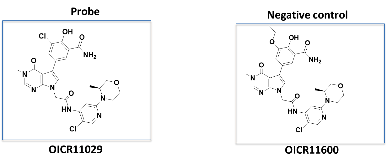OICR11029 | Structural Genomics Consortium