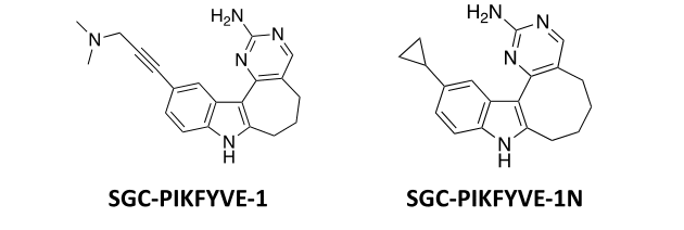 SGC-PIKFYVE-1 | Structural Genomics Consortium