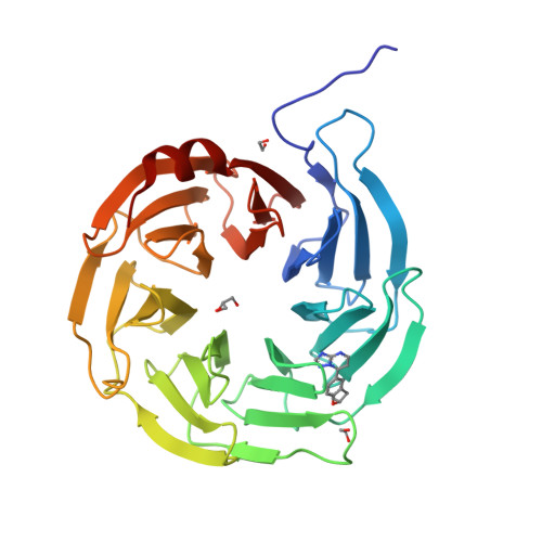 Crystal structure of WDR55 in complex with XS381774 | Structural ...
