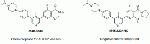 Chemical Probes | Structural Genomics Consortium