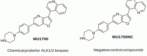 Chemical Probes | Structural Genomics Consortium
