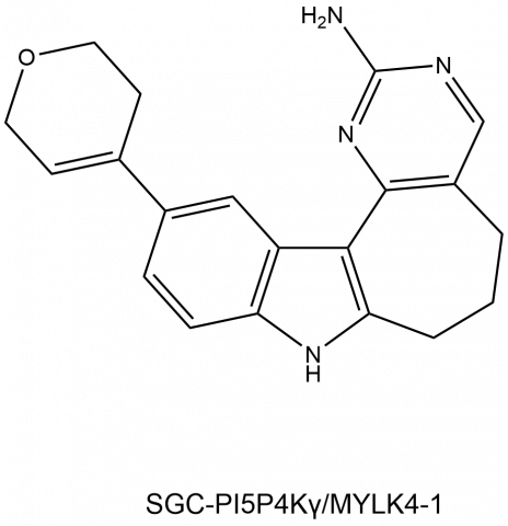 Chemical Probes | Structural Genomics Consortium
