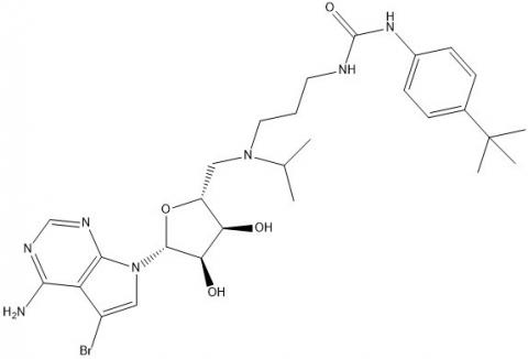 Chemical Probes | Structural Genomics Consortium